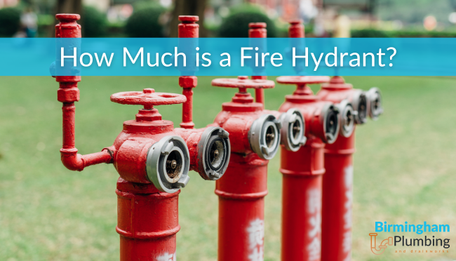 How Much is a Fire Hydrant? Insights From a Licensed Plumber